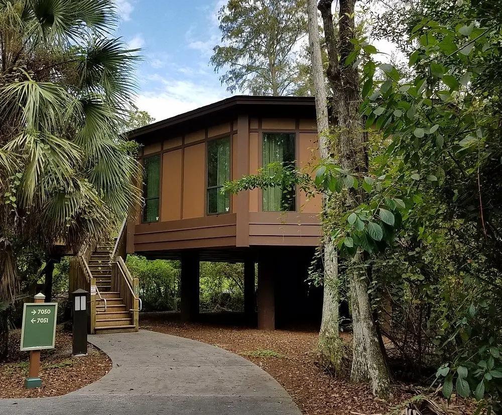 Disney Treehouse