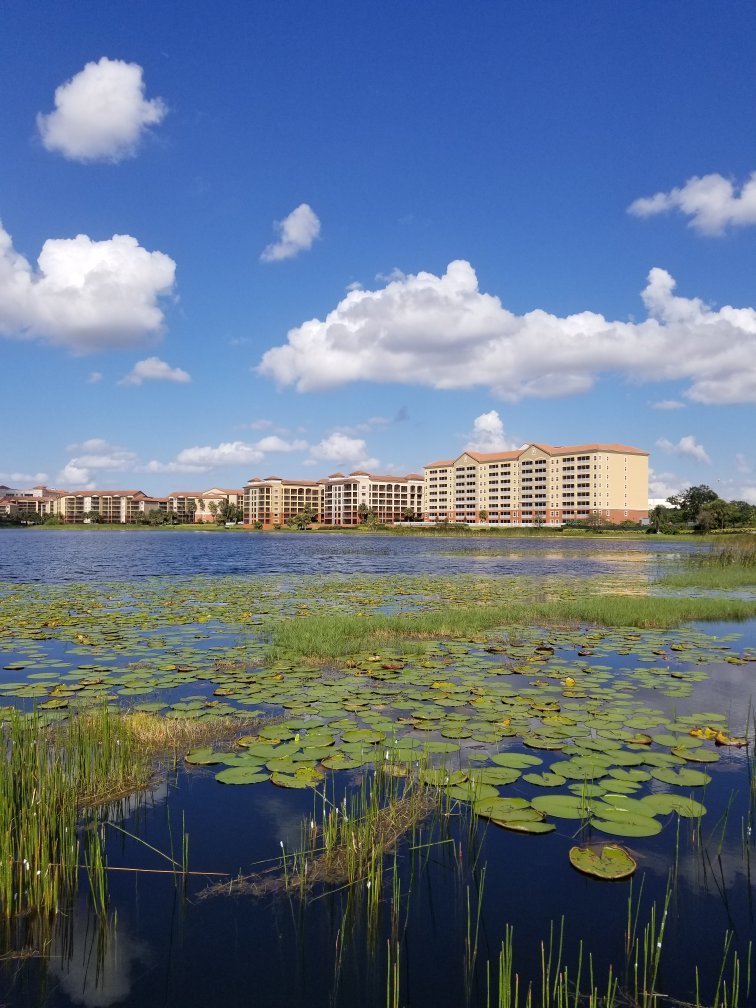 Four Best Westgate Resorts Owners Love - Fidelity Real Estate