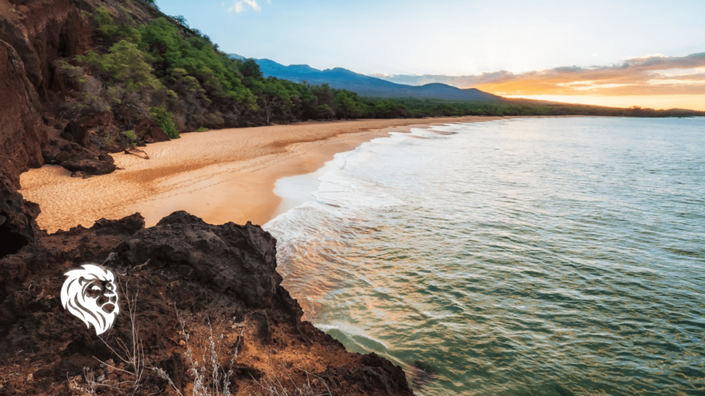 Best Grand Pacific Resorts In Hawaii - Fidelity Real Estate