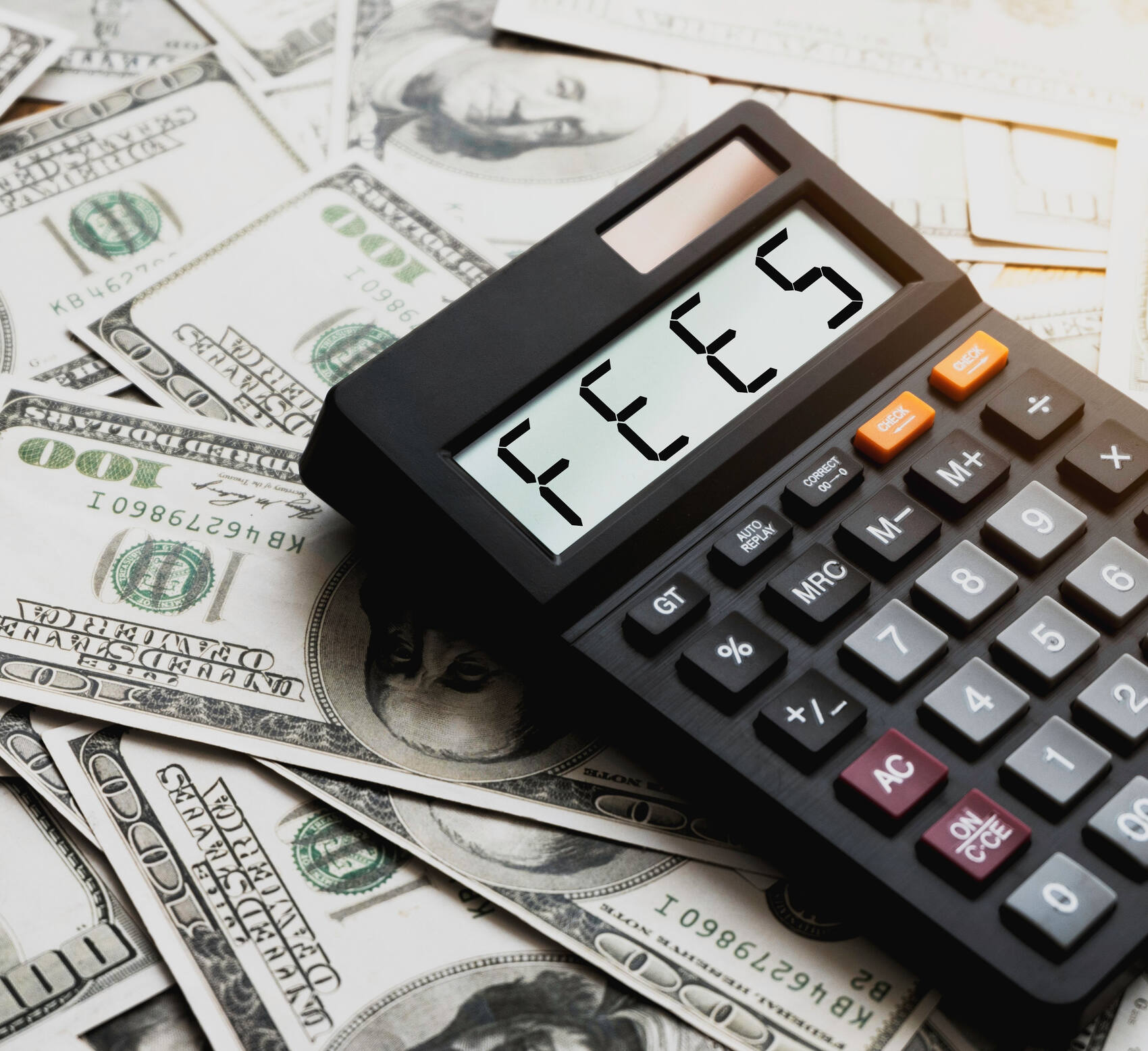 What Happens When You Don’t Pay Timeshare Maintenance Fees?