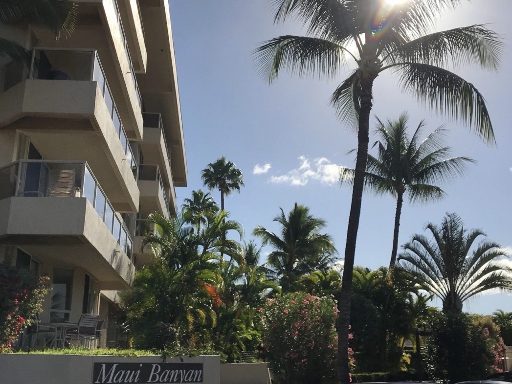 Hilton in Maui: Luxury, Adventure, and Aloha Awaits HGVC Owners