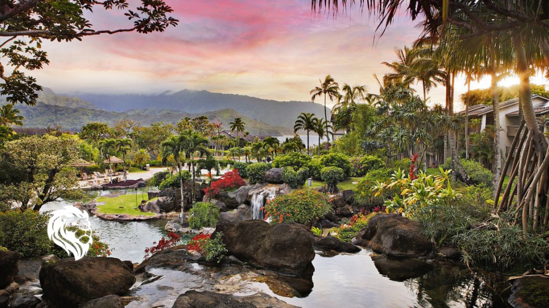 DVC World Passport Collection Updates Every Owner Should Know ...