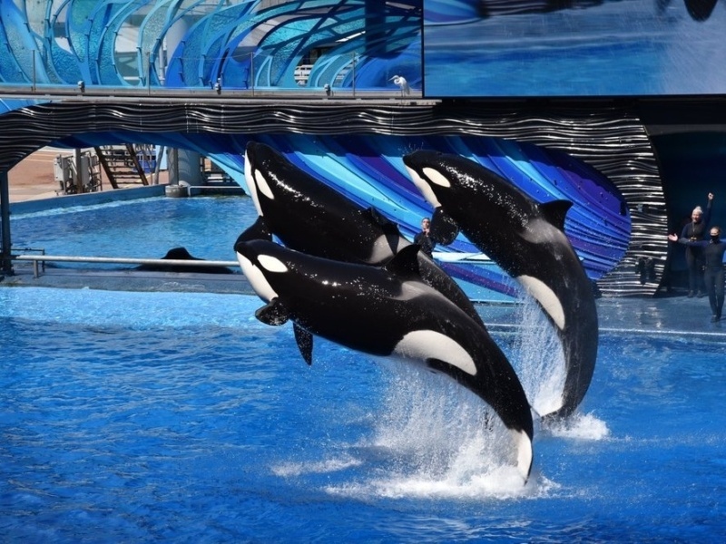 Hilton Grand Vacations Resorts: 3 Must-See Locations - Fidelity Real Estate